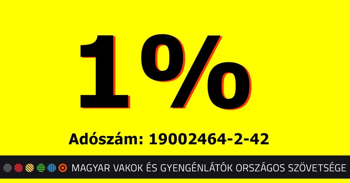 1% adó - 100% segítség! - Magyar Vakok és Gyengénlátók Országos Szövetsége